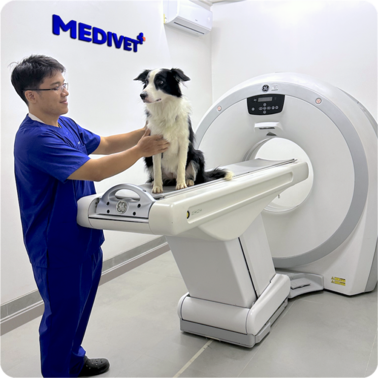 MEDIVET Pet Hospital & Clinic Network