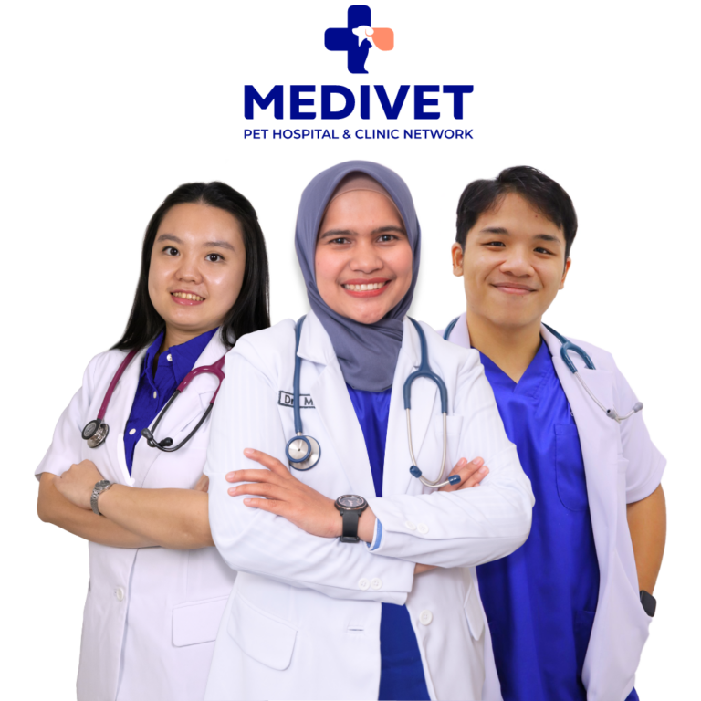 MEDIVET Pet Hospital & Clinic Network